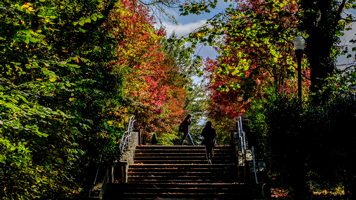 Photo essay: Autumn at UNCG | UNC Greensboro