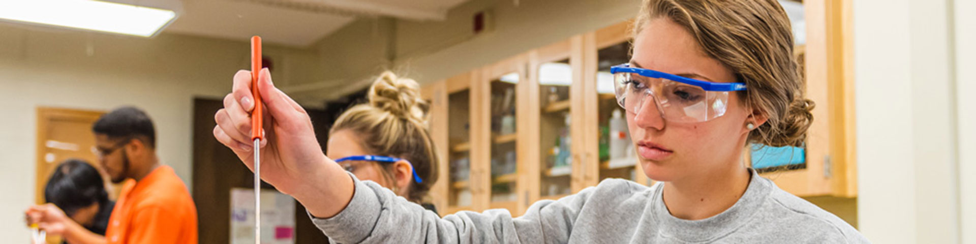 Pre-Professional Programs - UNC Greensboro