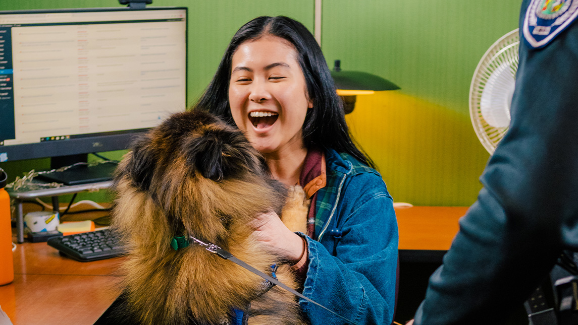 Protect, Serve, and Comfort: UNCG Police Dogs on Duty | UNC Greensboro