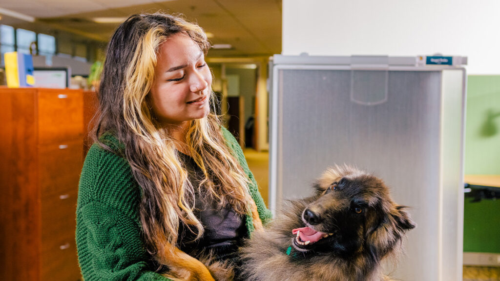 Protect, Serve, and Comfort: UNCG Police Dogs on Duty | UNC Greensboro