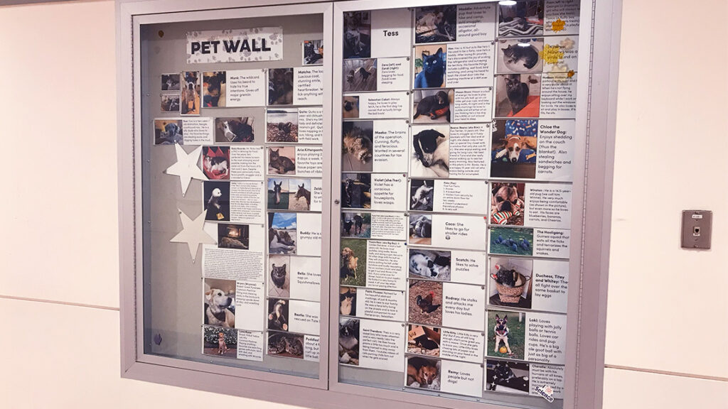 Pet walls brighten UNCG halls | UNC Greensboro
