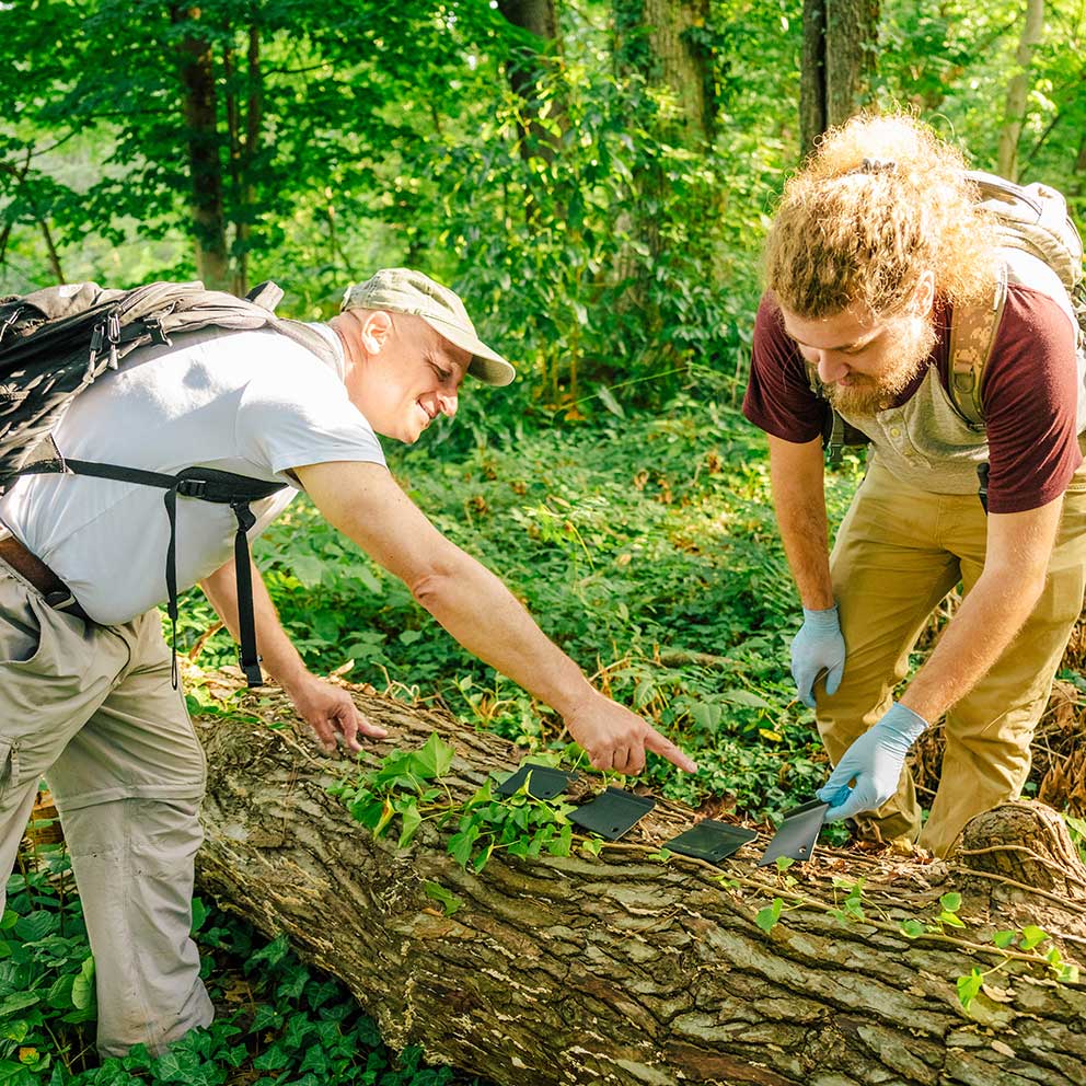 Research and Impact - UNC Greensboro