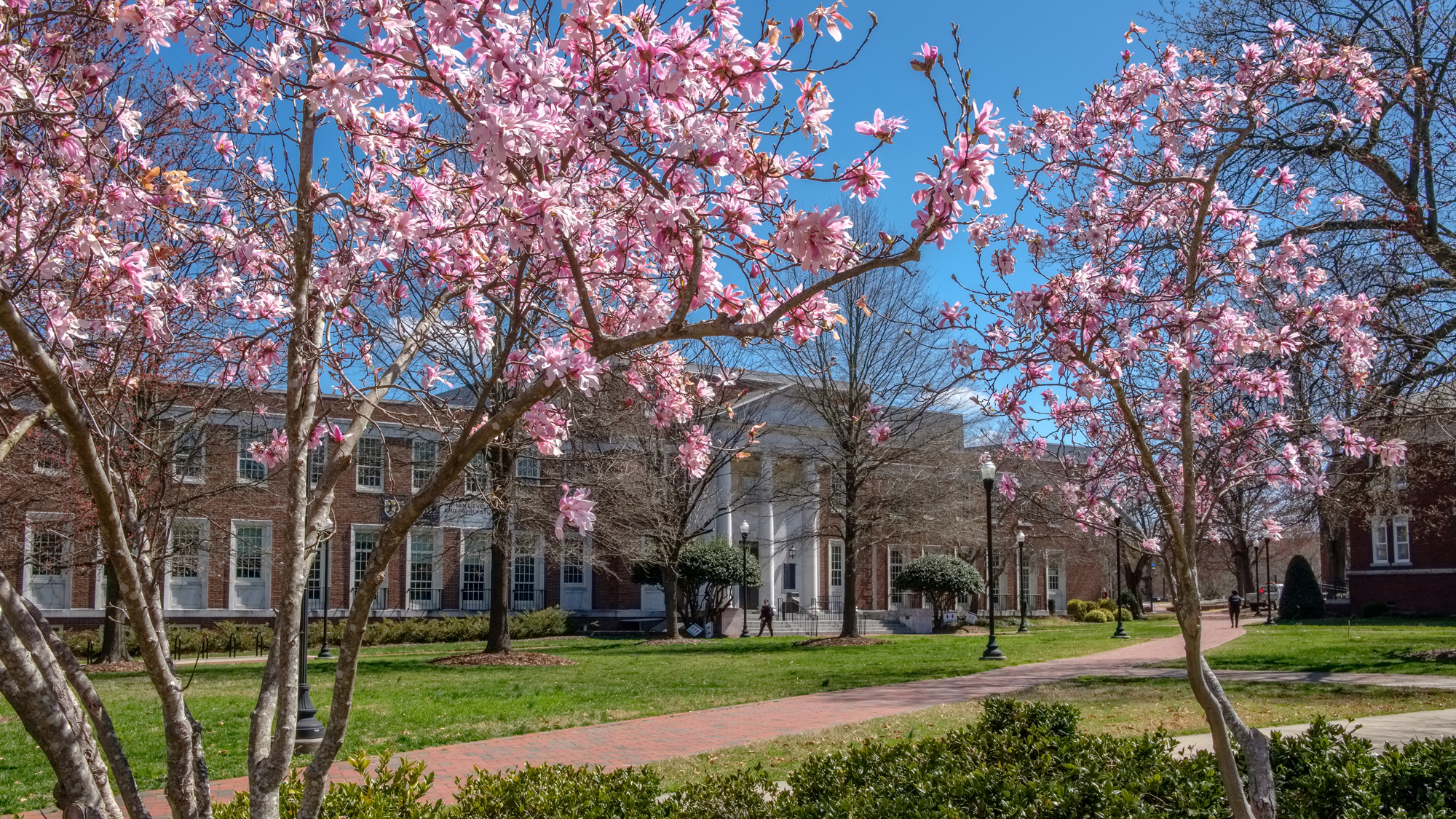 Academic Excellence - UNC Greensboro