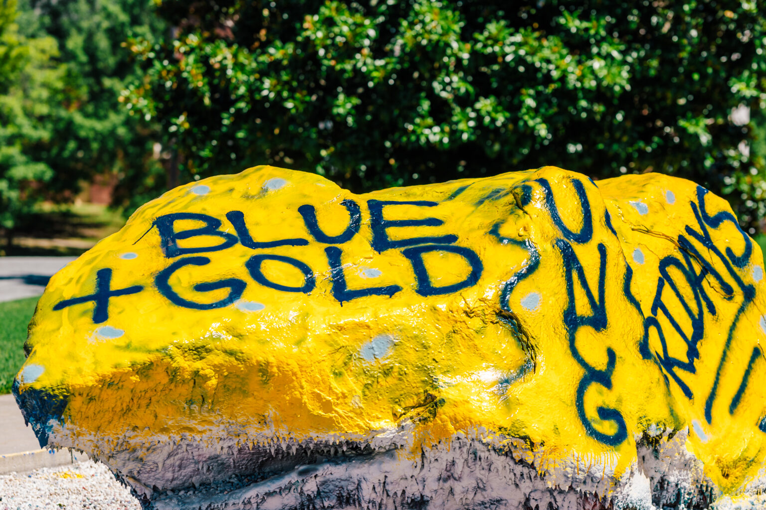 Spartan Athletics Kicks Off a New Season | UNC Greensboro