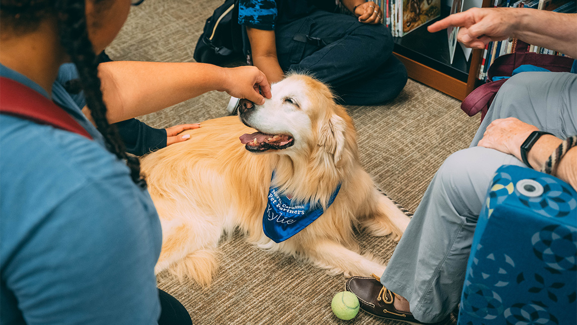 Furry Best Friends Bring Smiles at UNCG | UNC Greensboro
