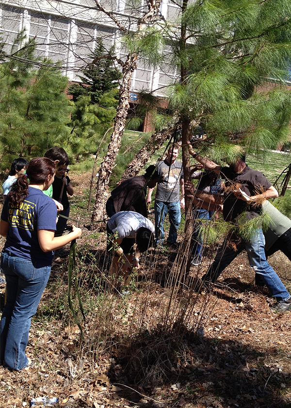 How Fire Protects UNCG’s Premium Greenspace | UNC Greensboro