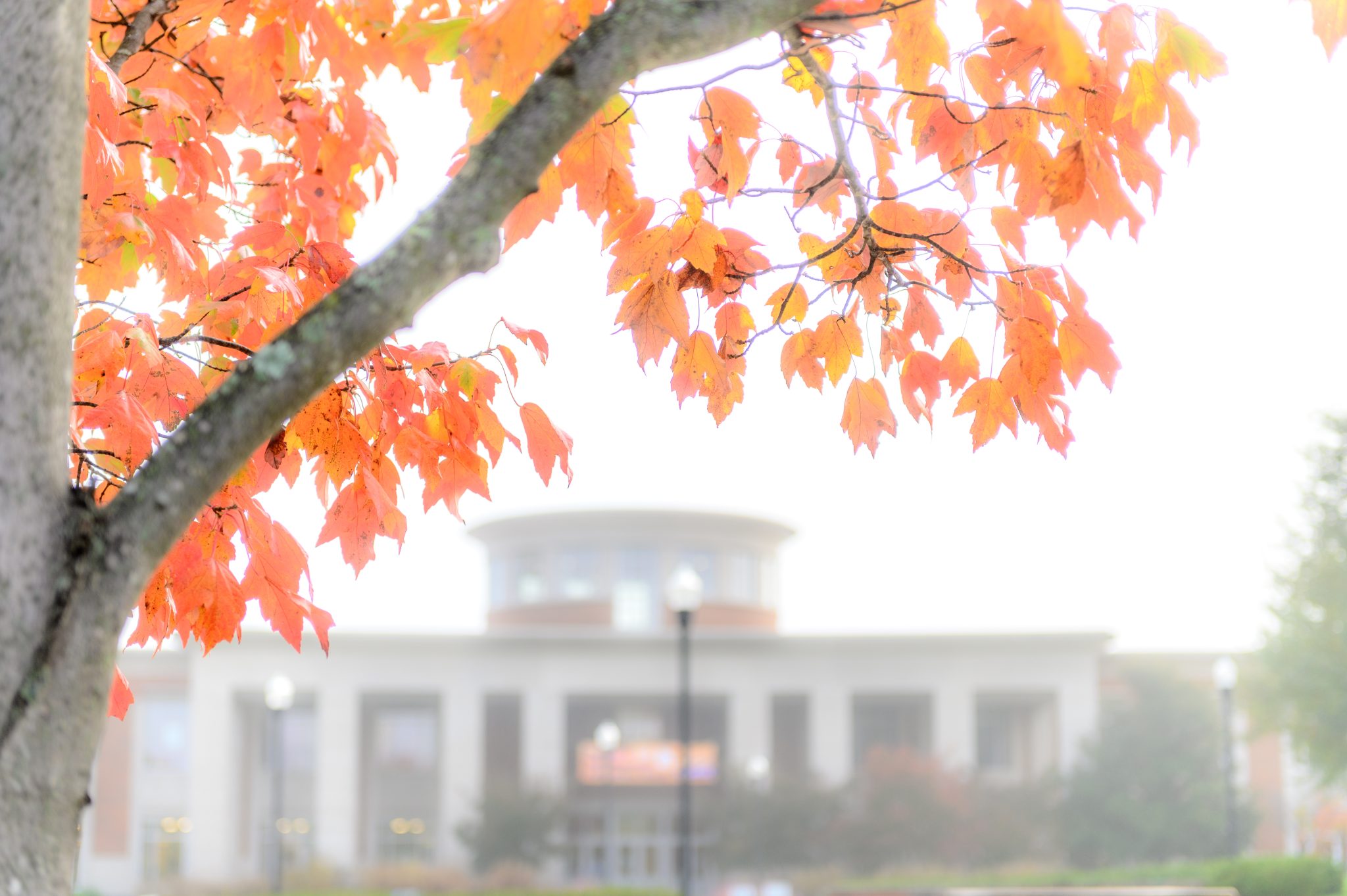Fall Open House | UNC Greensboro